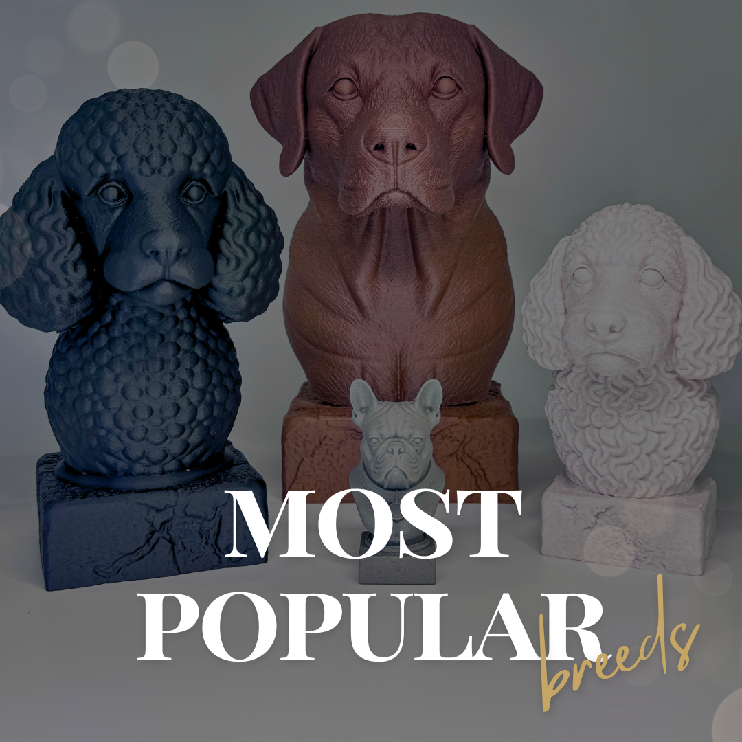Best Selling Dog Busts – Our Most Popular Breeds – Fetch & Form