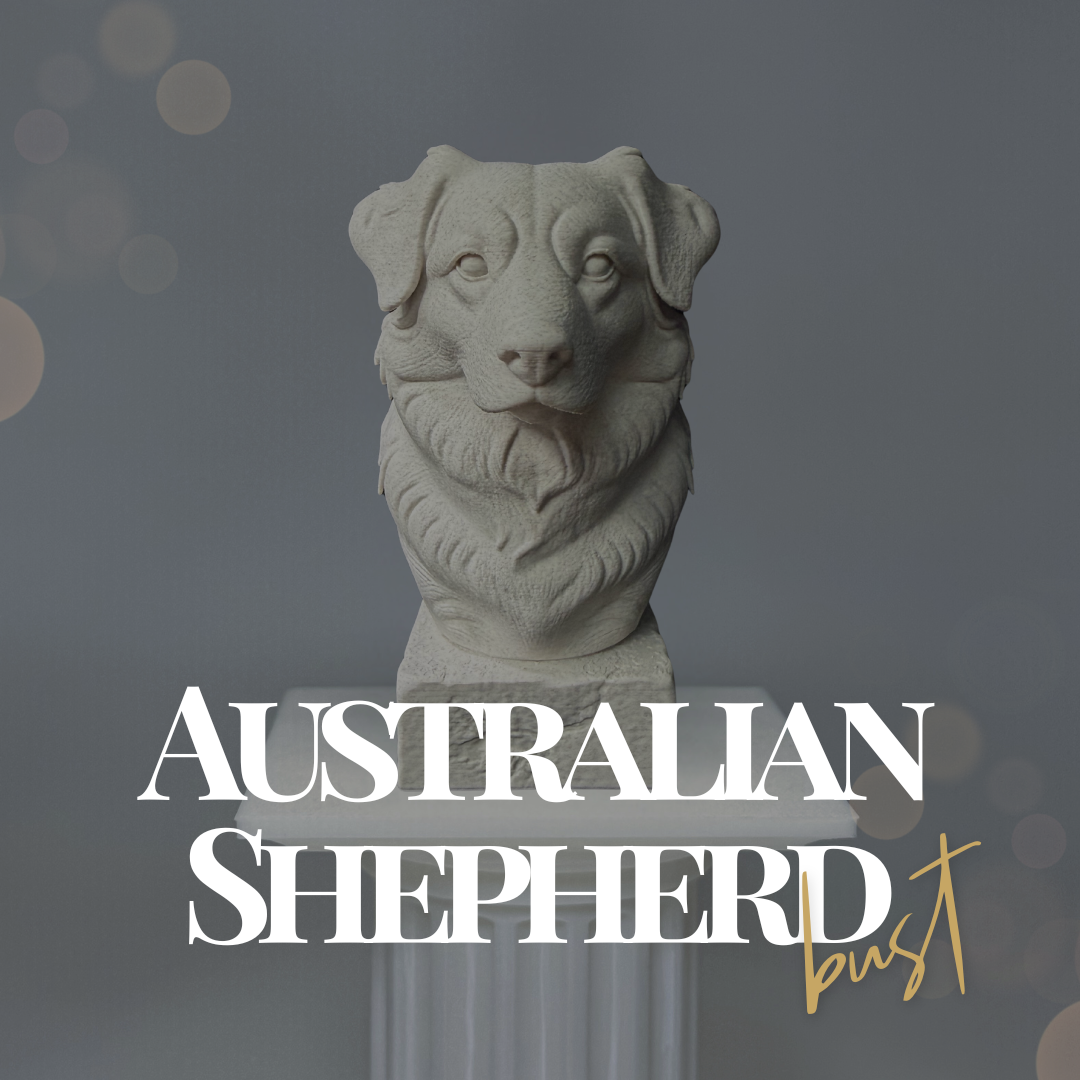 Australian Shepherd Bust - 3D Printed Dog Bust by Fetch & Form